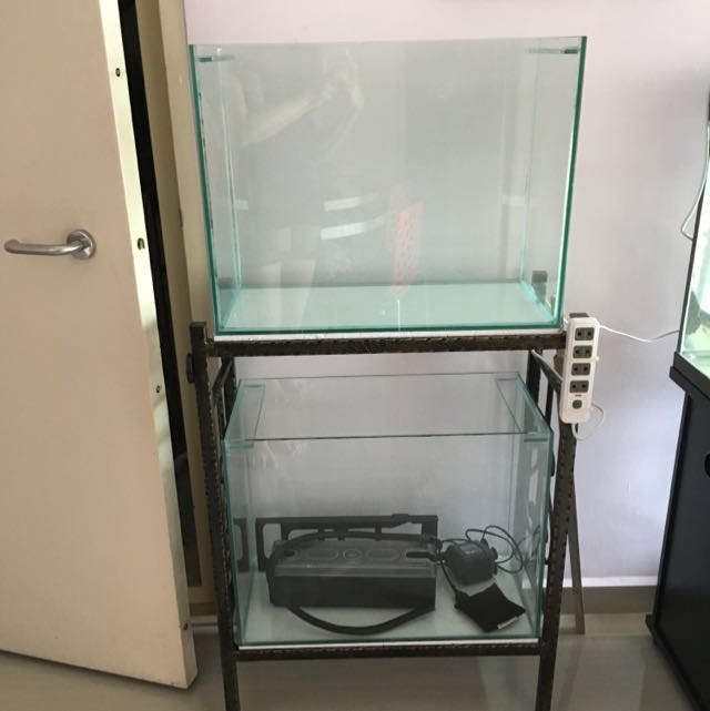 Used Fish Tank, Pet Supplies, Homes & Other Pet Accessories on Carousell