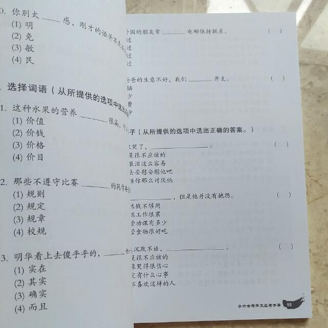 P6 Chinese Psle Revision Guide, Hobbies & Toys, Books & Magazines ...