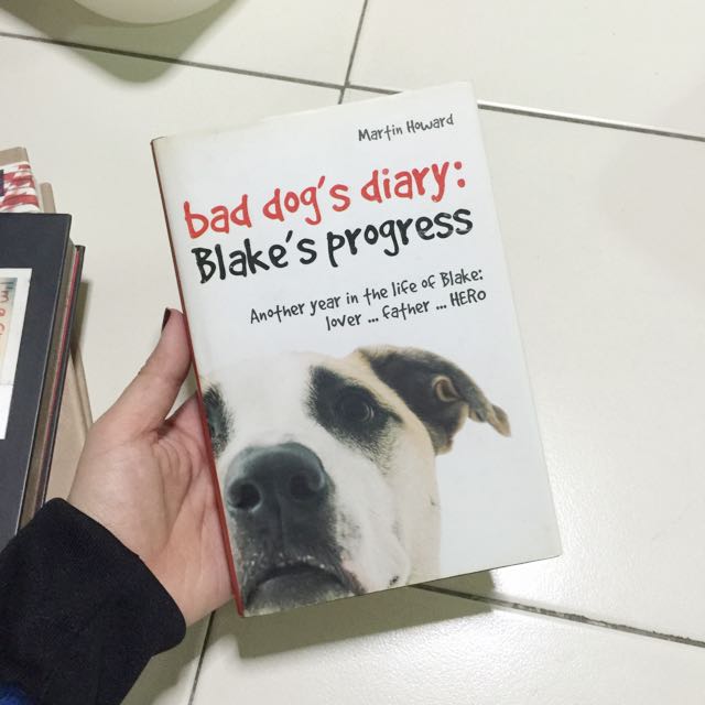 Bad Dog's Diary, Hobbies & Toys, Books & Magazines, Children's Books on ...