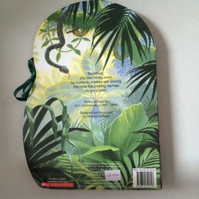 3D Pop Up Book : Snakes ( Misunderstood ) Zig Zag Accordion Board Book ...