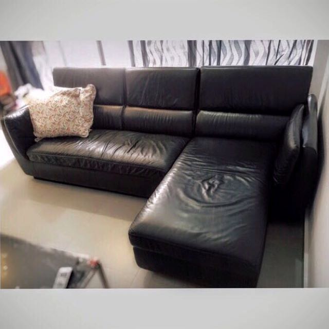 (SOLD) Cellini Leather Sofa, Furniture & Home Living, Furniture, Sofas ...