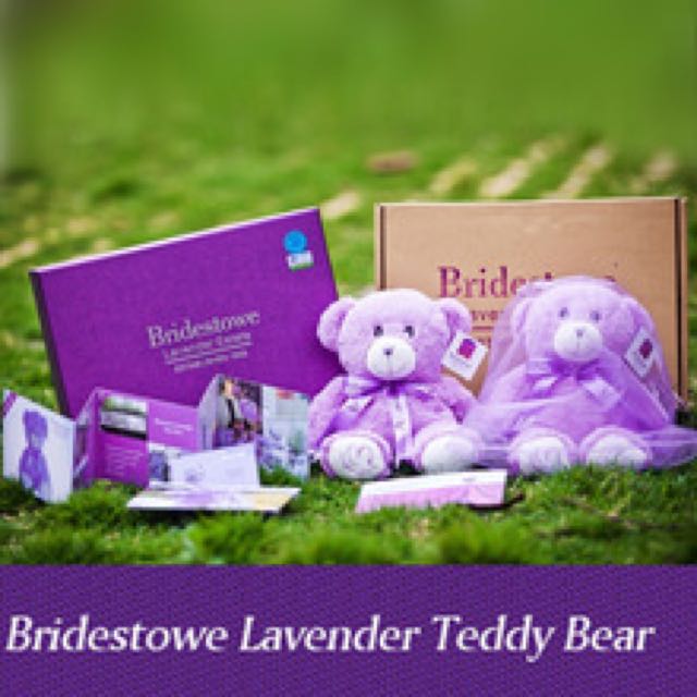 Limited Edition CNY Lavender Heat Pack Teddy Bear, Women's Fashion ...