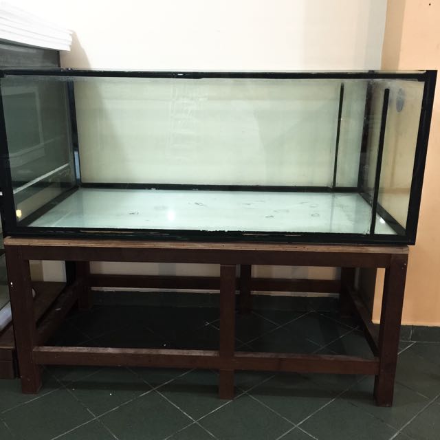 6ft X 3ft Width Fish Tank For Sale, Pet Supplies, Homes & Other Pet ...