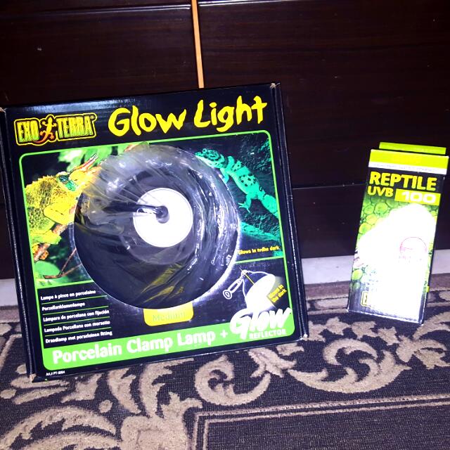 Exo Terra Tank + Porcelain UV Light, Pet Supplies, Homes & Other Pet ...