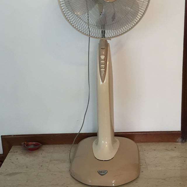 Pedestal Fan - Hatari From Thailand, TV & Home Appliances, Kitchen ...