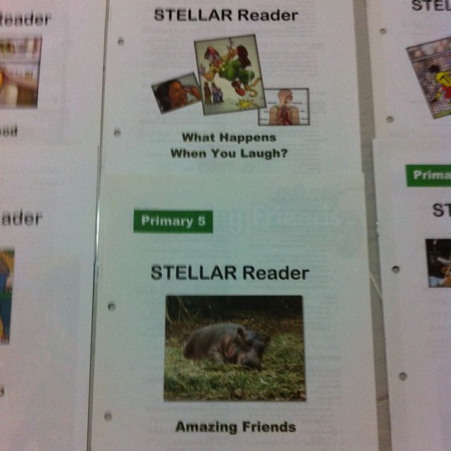 P5 STELLAR Reader, Hobbies & Toys, Books & Magazines, Textbooks on ...