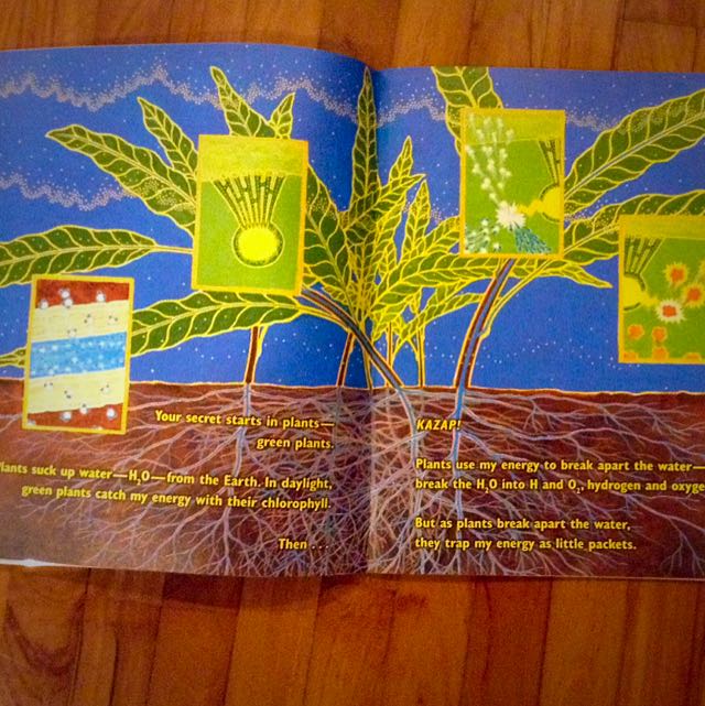 Science - Living Sunlight, Hobbies & Toys, Books & Magazines ...