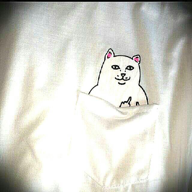 Middle Finger Pocket Cat Tee, Women's Fashion, Tops, Longsleeves on ...