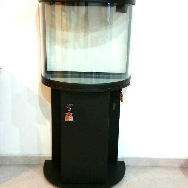 Used 2 Feet Semi Circle Fish Tank With Cabinet - Cash And Carry ...