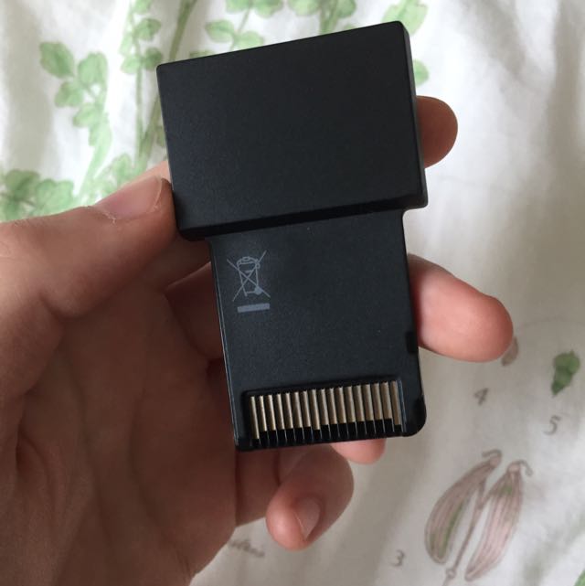 Ultimate Nintendo DS Cheat Device - Action Replay, Hobbies & Toys, Toys ...