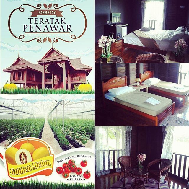 2D 1N Farm Stay Concept @ Desaru Johor, Tickets & Vouchers, Local ...