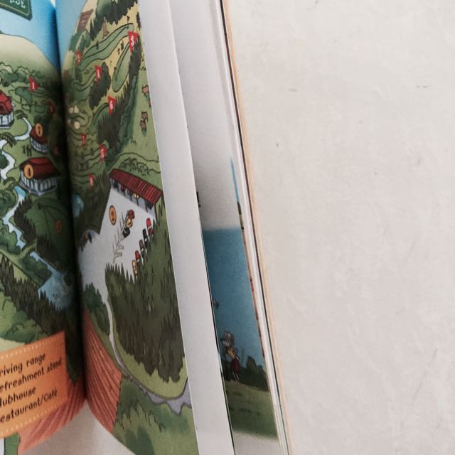 The Giant Diamond Robbery By Geronimo Stilton, Hobbies & Toys, Books ...