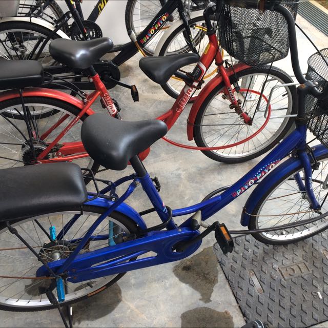 Piyo Piyo Bicycle (Blue), Sports Equipment, Bicycles & Parts, Bicycles ...