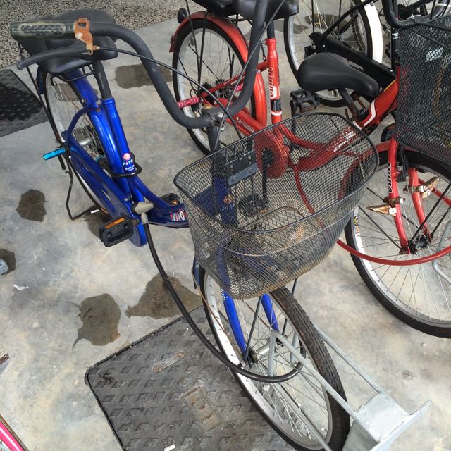 Piyo Piyo Bicycle (Blue), Sports Equipment, Bicycles & Parts, Bicycles ...