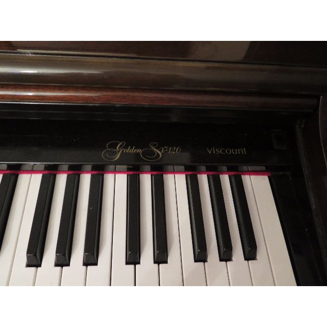Rare Digital Piano - made in Italy VISCOUNT, Hobbies & Toys, Music ...