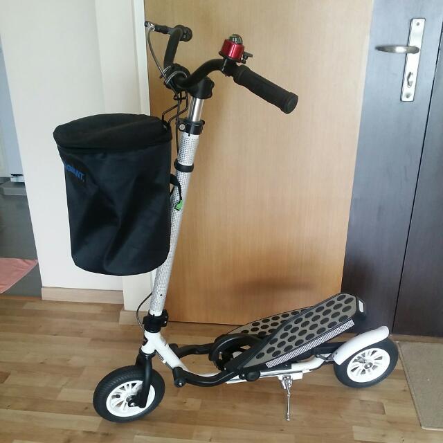 BRAND NEW! Wingflyer Z150 Adult Stepper Scooter, Sports Equipment ...