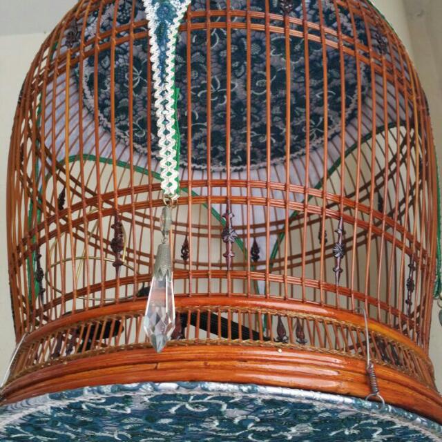Merbok Bird Cage, Pet Supplies, Homes & Other Pet Accessories on Carousell