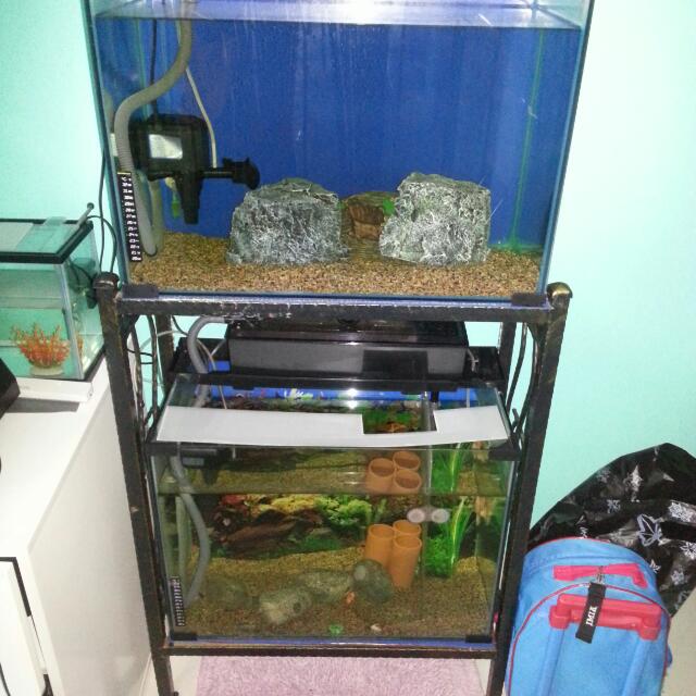 Fish Tank Plug N Play, Pet Supplies, Homes & Other Pet Accessories on ...
