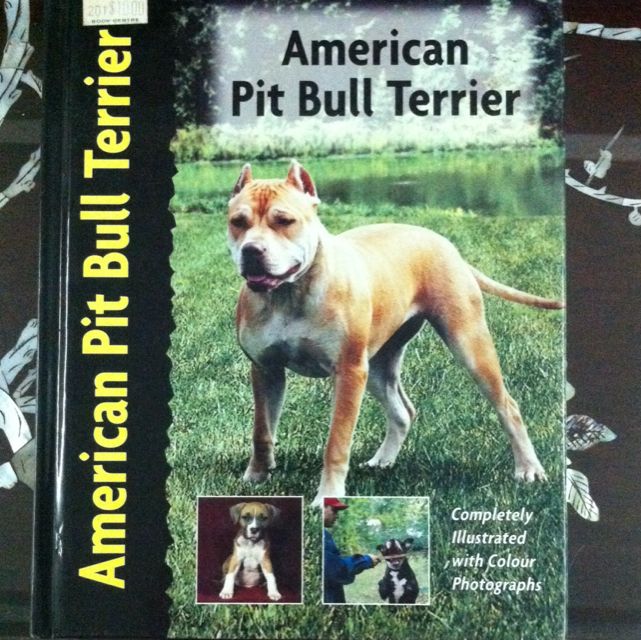 Book About American Pit Bull Terrier, Hobbies & Toys, Books & Magazines ...