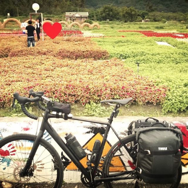 Thule Bike Rack and Panniers, Sports Equipment, Bicycles & Parts, Parts ...