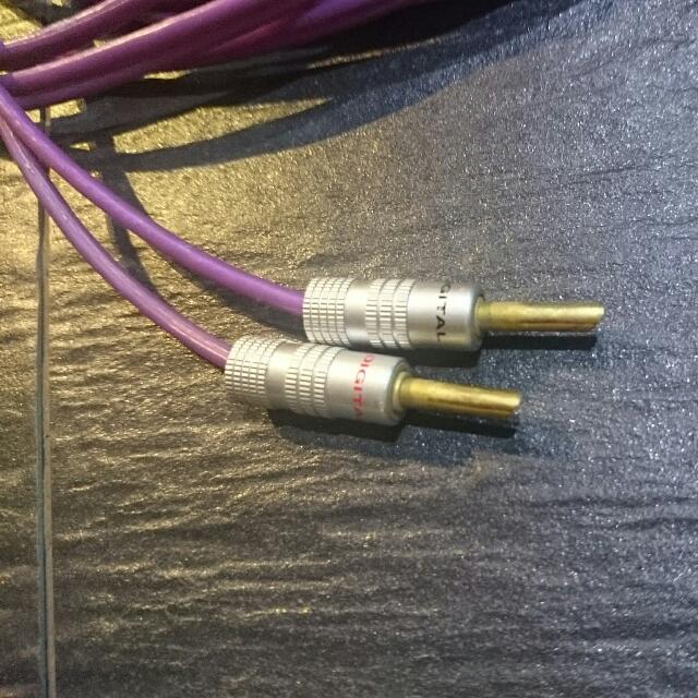 QED Qudos Balanced Designed Concept Speaker Cable, Computers & Tech ...