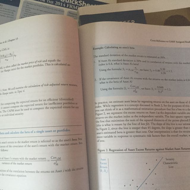 FRM Level I Schweser Note + Cheatsheet + Mock, Hobbies & Toys, Books ...