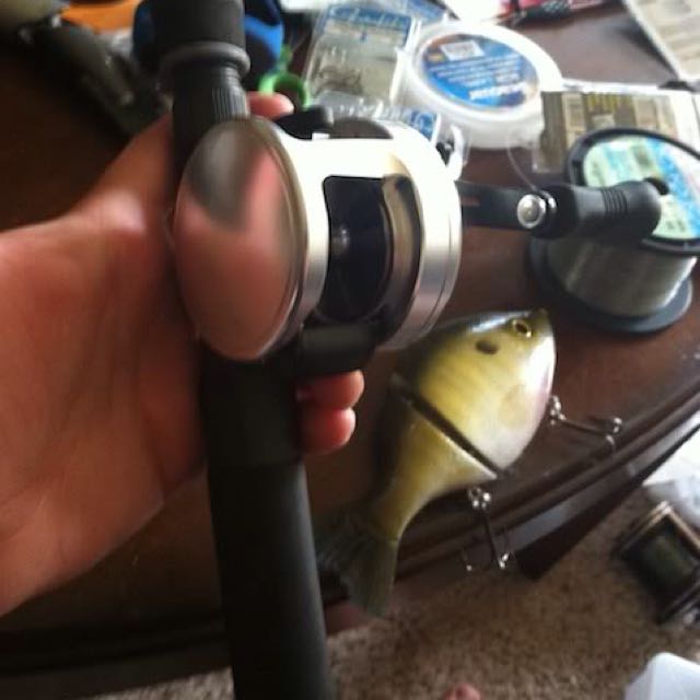 Shimano Calcutta 300D (Right), Everything Else on Carousell