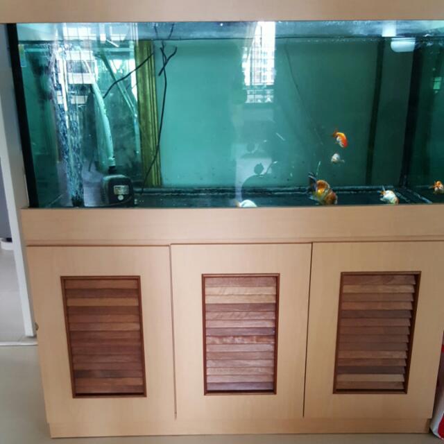 Fish Tank 4x2x2, Pet Supplies, Homes & Other Pet Accessories on Carousell