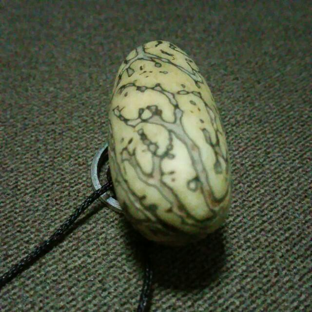 "Pu Ti" ( 菩提 ) tree seed.., Bulletin Board, Looking For on Carousell