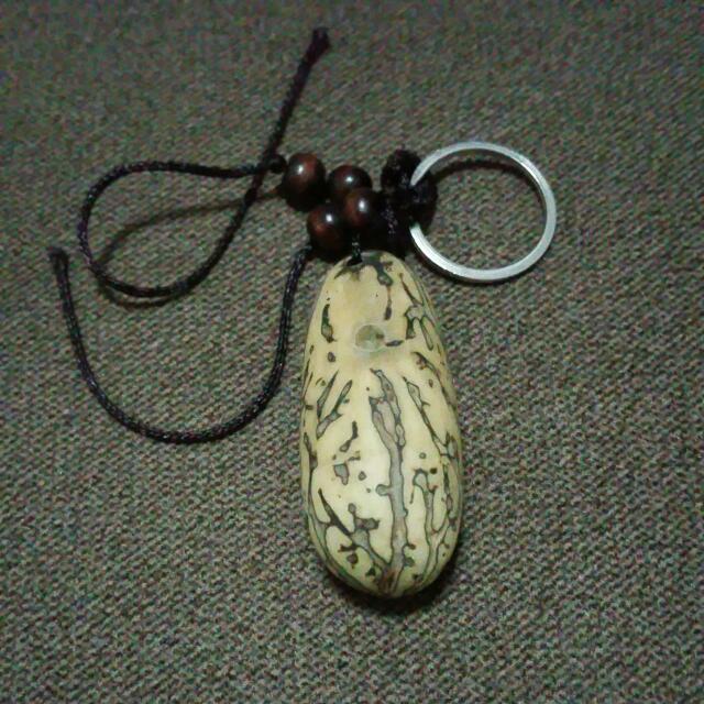 "Pu Ti" ( 菩提 ) tree seed.., Bulletin Board, Looking For on Carousell