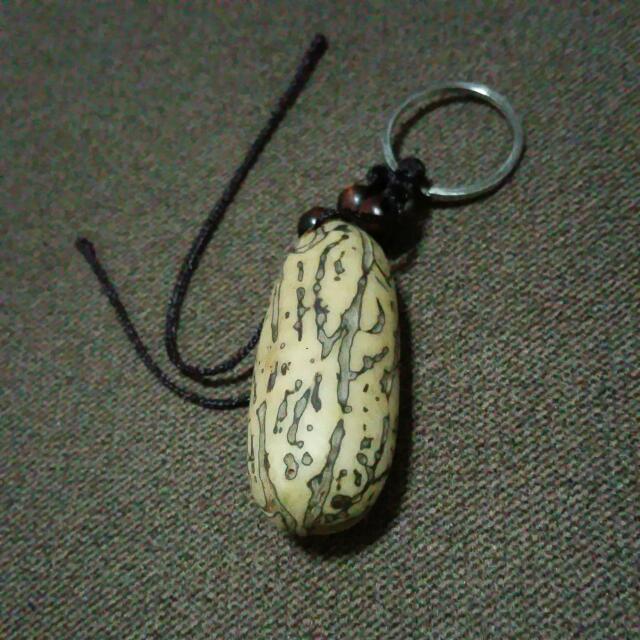 "Pu Ti" ( 菩提 ) tree seed.., Bulletin Board, Looking For on Carousell