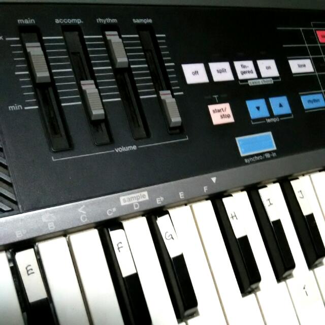 Casio SK 100 Sampling Keyboard, Hobbies & Toys, Music & Media, Musical ...