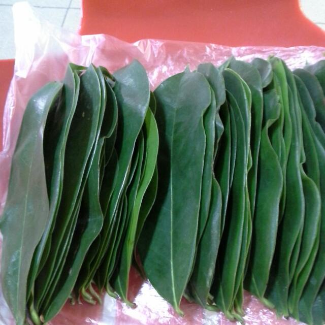 Soursop Leaf, Furniture & Home Living, Gardening, Plants & Seeds on ...