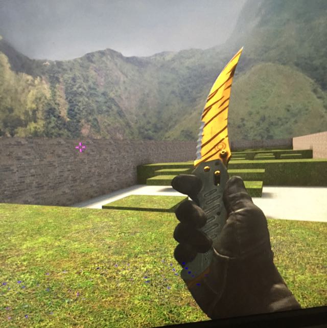 Csgo Tiger Tooth Flip Knife FN, Hobbies & Toys, Toys & Games on Carousell