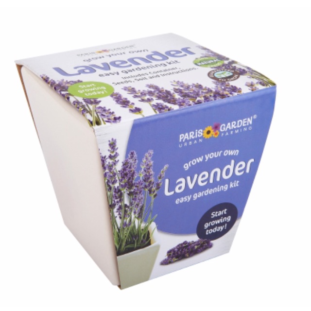 Paris Garden Grow Your Own Lavender Kit, Furniture & Home Living, Home ...