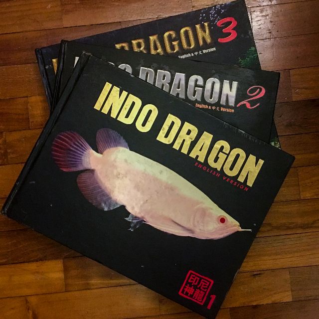 IndoDragon Books 1, 2 & 3 - Arowana/DragonFish Book, Hobbies & Toys ...