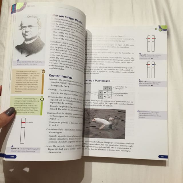 SL Biology IB Pearson Guidebook, Hobbies & Toys, Books & Magazines ...