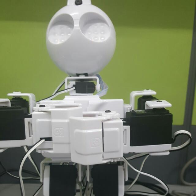 EzRobot JD Humanoid Robot, Sports Equipment, Exercise & Fitness, Cardio ...