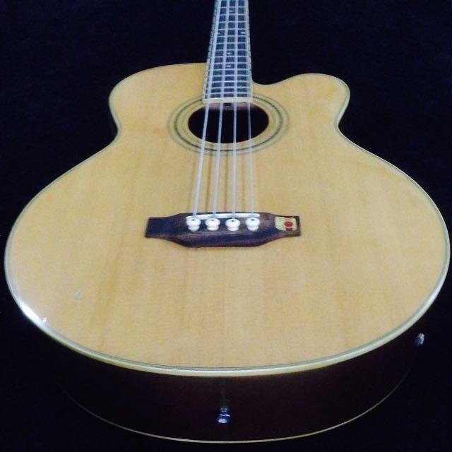 Maestro Acoustic Bass, Hobbies & Toys, Music & Media, Music Accessories ...