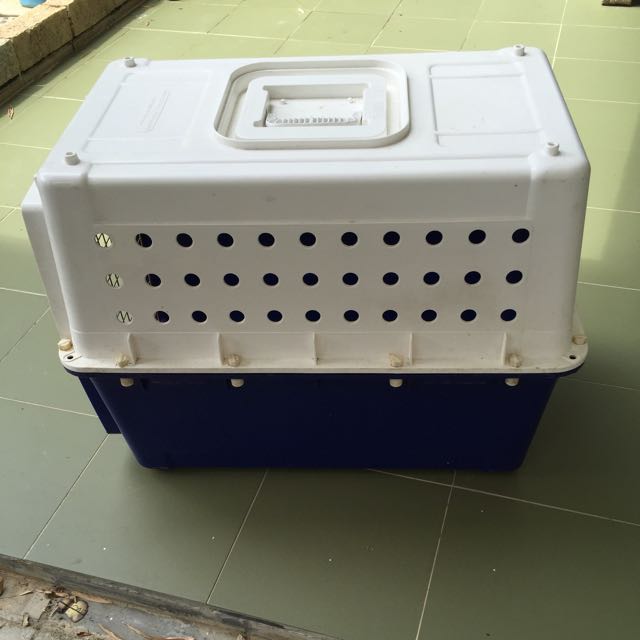 Pet Carrier, Pet Supplies, Homes & Other Pet Accessories on Carousell