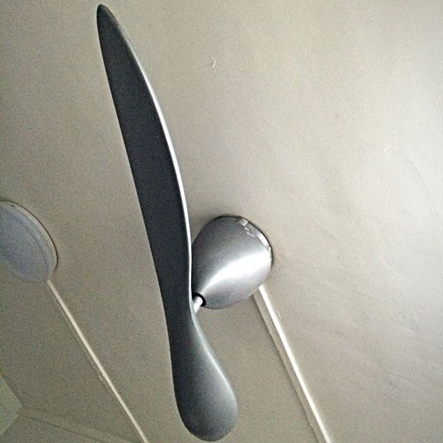 Ceiling Fan. Designer Sycamore Ceiling Fan. Grey Color. Second Hand. Gd ...