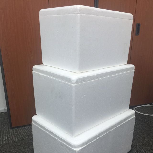 Styrofoam Box, Everything Else on Carousell