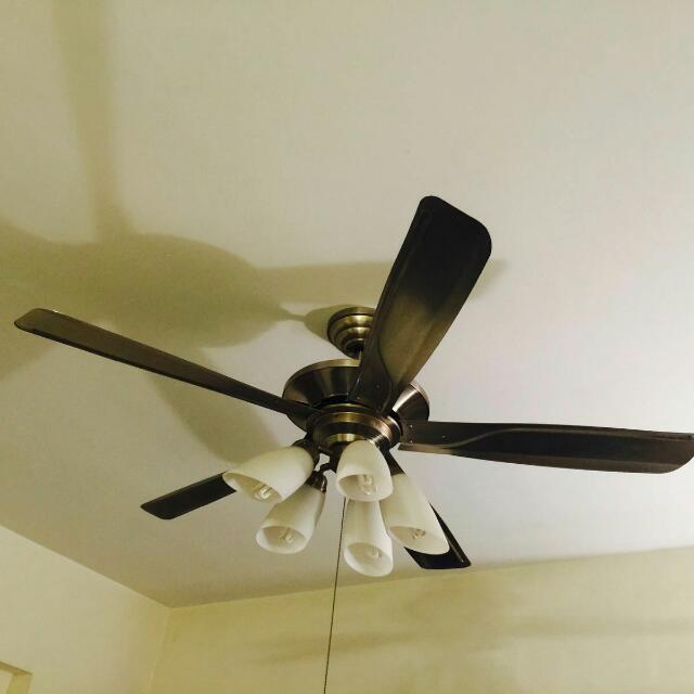 Ceiling Fan With Light Fittings, Furniture & Home Living, Lighting ...