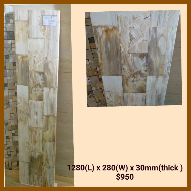 Fossil / Petrified Wood, Stone Slab (coffee table, display, side table ...