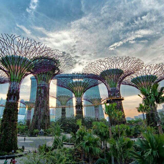 GARDEN BY THE BAY+OCBC SKY, Tickets & Vouchers, Local Attractions ...