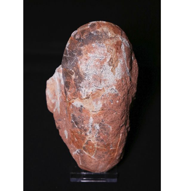 Real Large DINOSAUR EGG raptor Jurassic Park Jurassic World, Hobbies ...