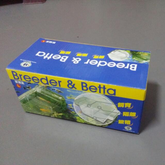 Beta Aquarium . Betta Fish . Breeding . Breeder . Hatchery Box . Spawn ...