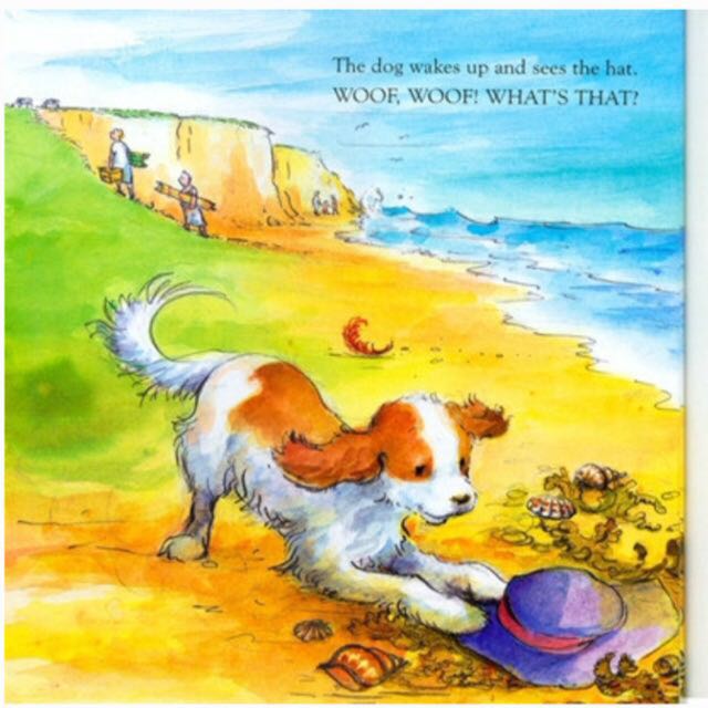 Rosie's Hat - Julia Donaldson, Hobbies & Toys, Books & Magazines ...