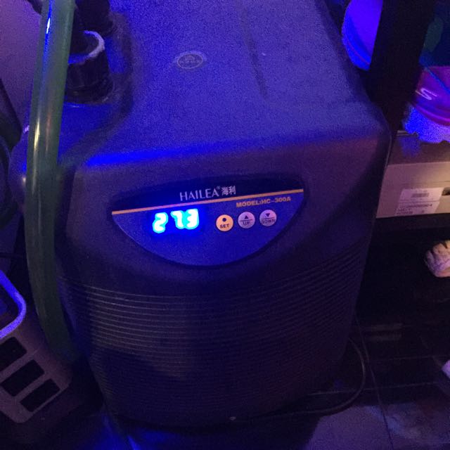 Hailea Chiller Hc300a, Pet Supplies, Homes & Other Pet Accessories on ...