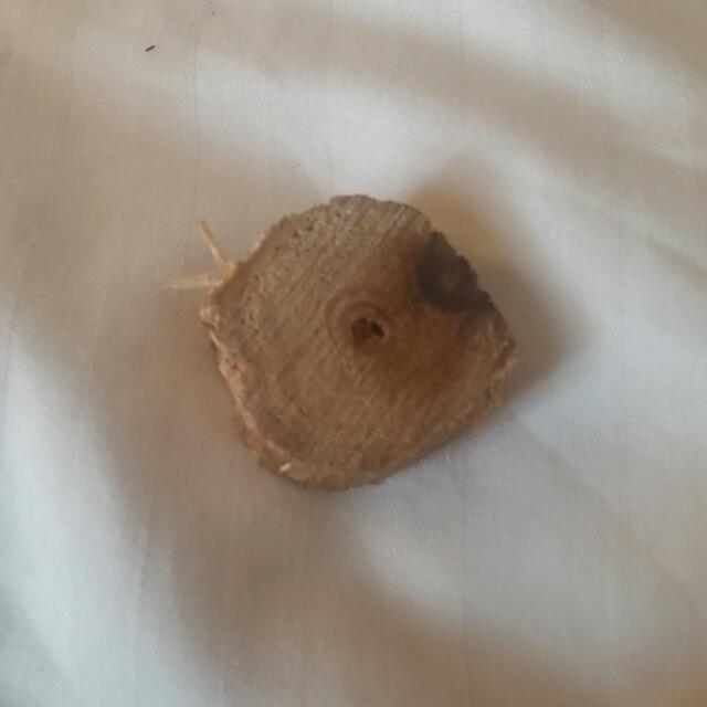 kayu penunduk, Hobbies & Toys, Memorabilia & Collectibles, Religious ...